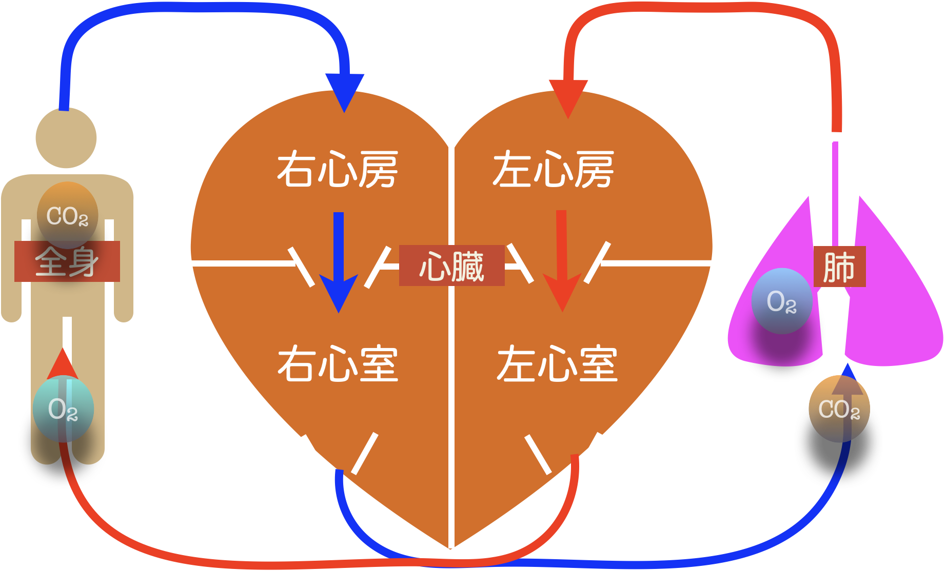 心臓血管外科 – 岐阜ハートセンター